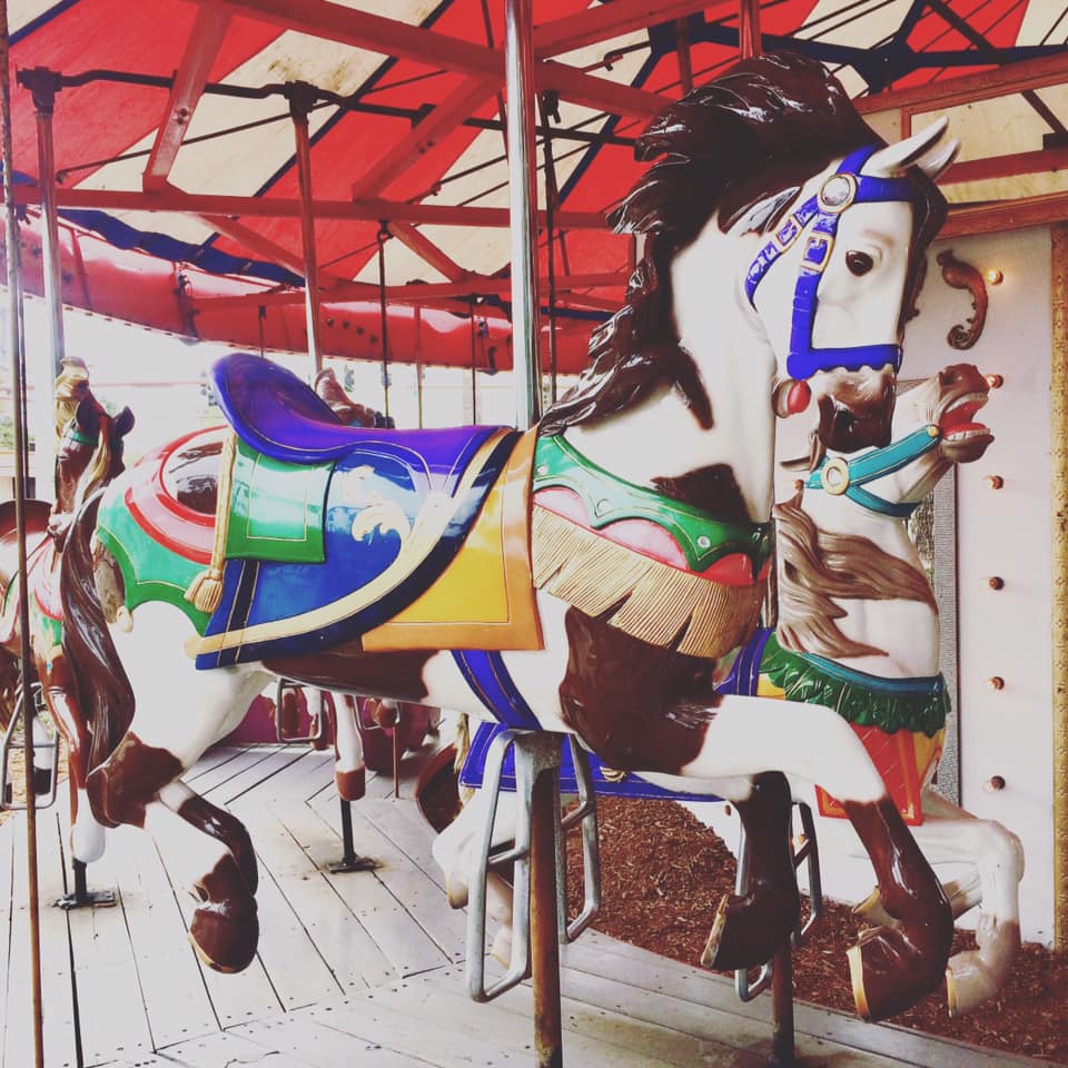 St. Augustine’s J&S Carousel to be removed from Davenport Park ...